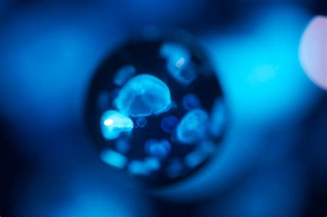 宙玉レンズで写真を撮影するときに工夫できる7つのこと gaahaa s junk workshop