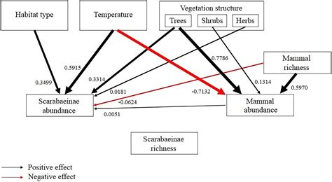 Frontiers Ecological Indication Metrics On Dung Beetles Metacommunities In Native Forests And