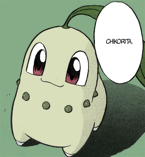 Chikorita On Tumblr