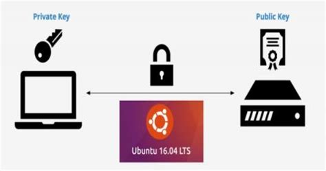 Generate Public Private Key Pair Treewebdesign