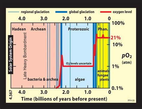 114 Schematic Approximation Of Atmospheric Oxygen Levels Through Time