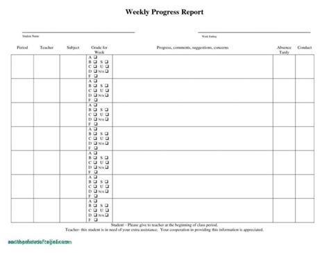 Babe Progress Report Template TEMPLATES EXAMPLE TEMPLATES EXAMPLE