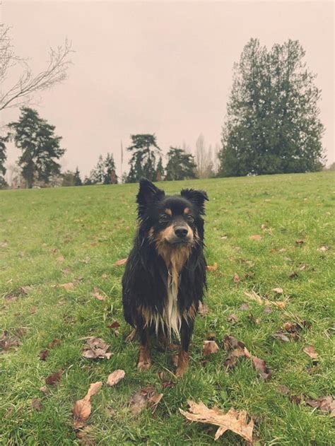 Testing V4 With Laguna Rnotafilmcamera