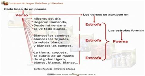 Cu L Es La Diferencia Entre Prosa Y Verso