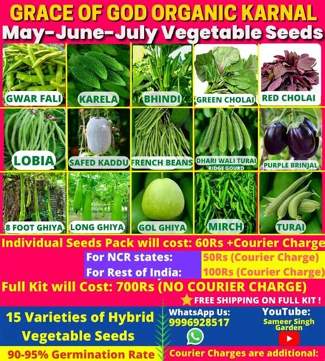Vegetable Seeds Full Pack Grace Of God