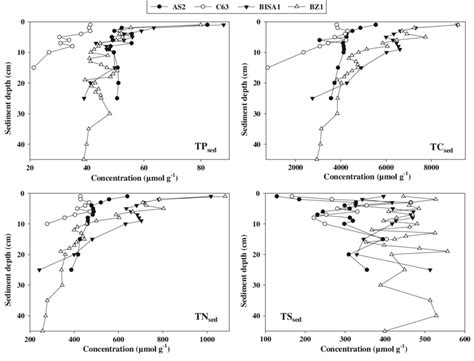 Total Concentrations Of P C N And S In The Sediment Depth Profiles