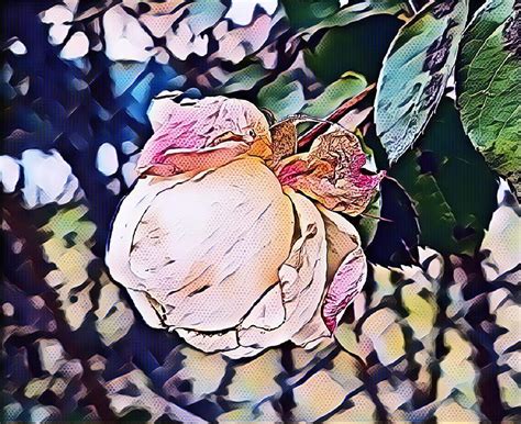 Poetry In Motion Of Peace Angel Ruby Vasquez The Bezine