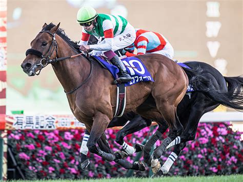 【有馬記念・注目馬】昨年の年度代表馬エフフォーリア、再び輝きを取り戻せるか 競馬ニュース Netkeiba