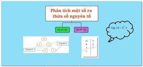 Đáp án Phân tích một số ra thừa số nguyên tố