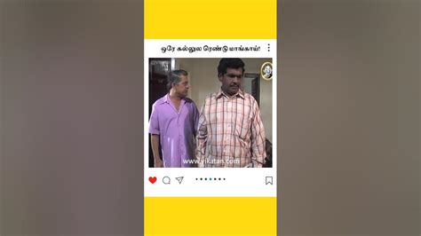 Kolangal ஒரே கல்லுல ரெண்டு மாங்காய் கோலங்கள் Youtube