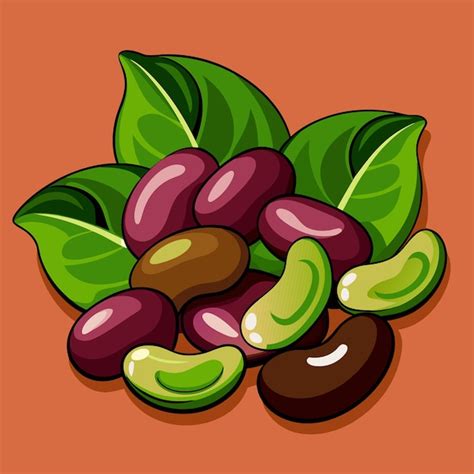 Premium Vector Beans Clipart Cartoon Style Vector Illustration