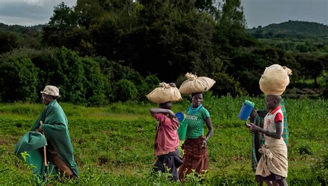 How Conservation Ngos Can Put Human Rights Principles Into Practice