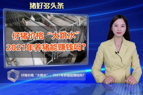 仔猪价格“大跳水”，“金猪”行情不复存在，明年养猪还能赚吗？凤凰网视频凤凰网