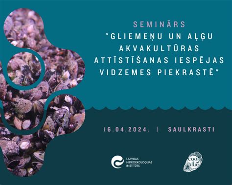 Lhei Organizes A Seminar On The Possibilities Of Developing Mussel And