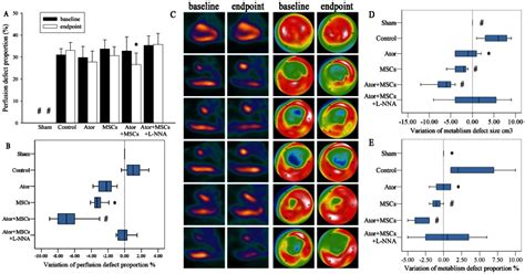 A The Perfusion Defect Proportion B The Variation In Perfusion Download Scientific Diagram