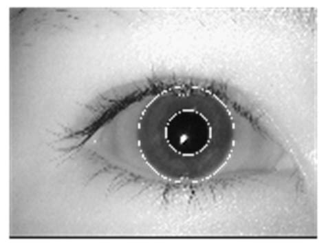 The Results Of The Segmentation For Samples Taken From Mmu Dataset A Download Scientific