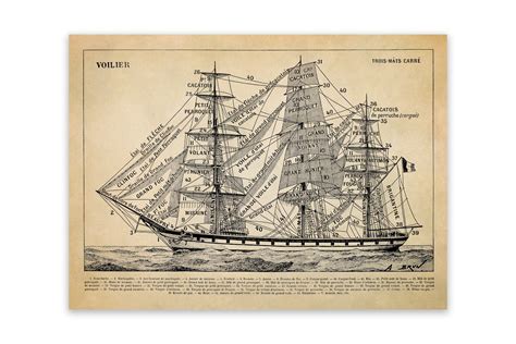 Sailing Ship Illustration