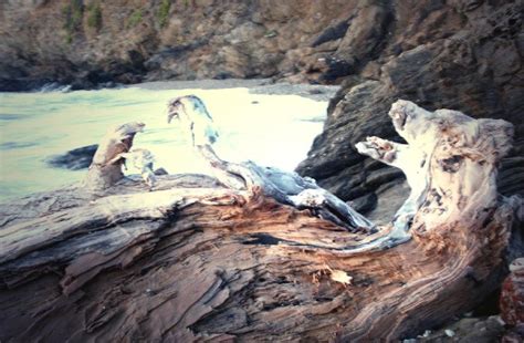 Beautiful Sky And Scenery Pictures XNXX Adult Forum