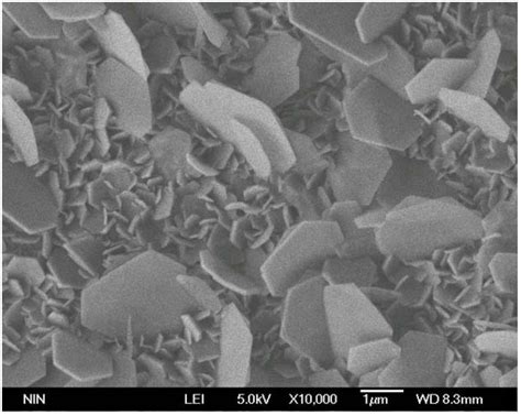 Ni Base Nio Nanosheet Array Film Electrode And Preparation Method Thereof Eureka Patsnap