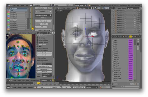 Capture The Head Or From Empties To A Smile Facetracking Animation And Rigging Blender