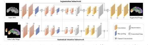 Figure 1 From Anatomical Attention Guided Deep Networks For Roi Segmentation Of Brain Mr Images