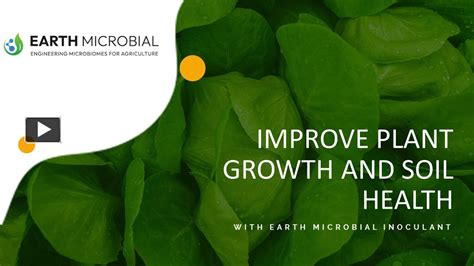 Ppt Improve Plant Growth And Soil Health With Earth Microbial