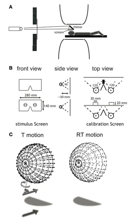 Figure 1 From Differential Responses In Dorsal Visual Cortex To Motion And Disparity Depth Cues
