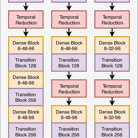 Early Slow Fusion Architecture For Different Input Sequence Lengths