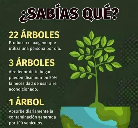 Ecoinventos 🌳 ¡sabías Que 🌍 👉 22 árboles Producen El Oxígeno Que Una