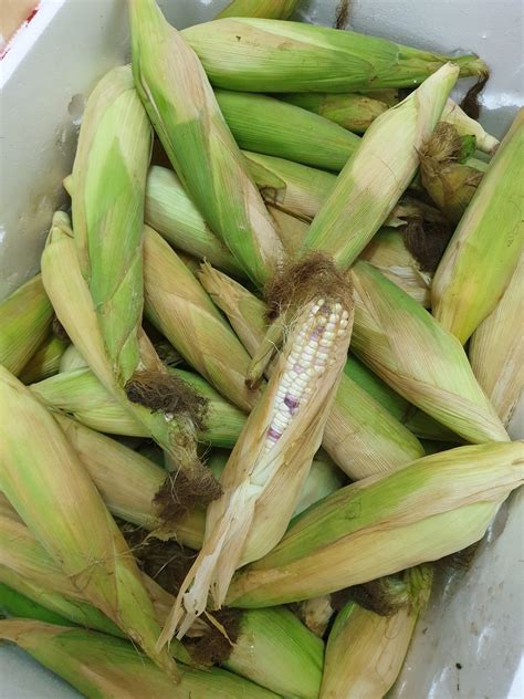 ขายของชำไทย ไทย 20 12 21 หน้าร้านคนเยอะ กว่าจะได้ลงรูป