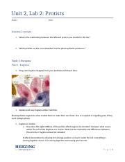 Unit 2 Lab 2 Protists Lab Write Up 1 Docx Unit 2 Lab 2 Protists Name Date General