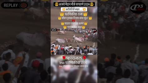 नागठाणे केशरीचे मानकरी 👑1no घरनिकीचा राजा आणि जीवन ड्रायवर निनाम यांचा