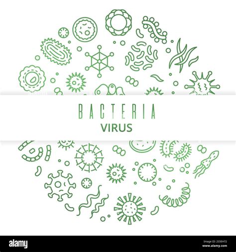 Outline Vector Microbes Viruses Bacteria Microorganism Cells And Primitive Organism Concept