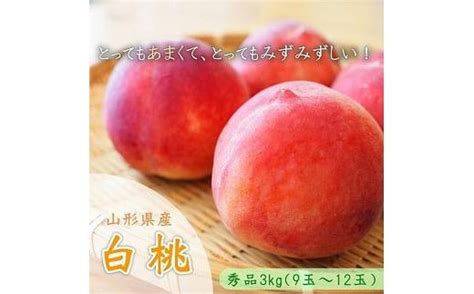 【令和7年産先行受付】中山町産白桃3kg 秀品 ※硬めの桃、あまり軟らかくならない桃 美晴白桃、おどろき他 山形県中山町 セゾンのふるさと納税