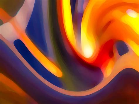 Paradise Creation Photograph by Amy Vangsgard - Fine Art America