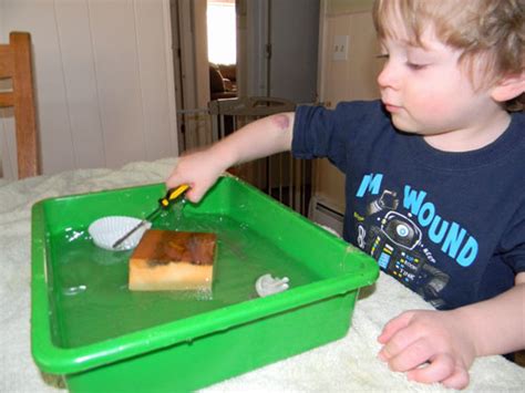 Science Sink Or Float Experiment Stir The Wonder