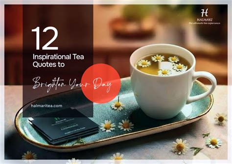 Top 12 Indian Tea Brands Ranked For Quality And Taste 2026