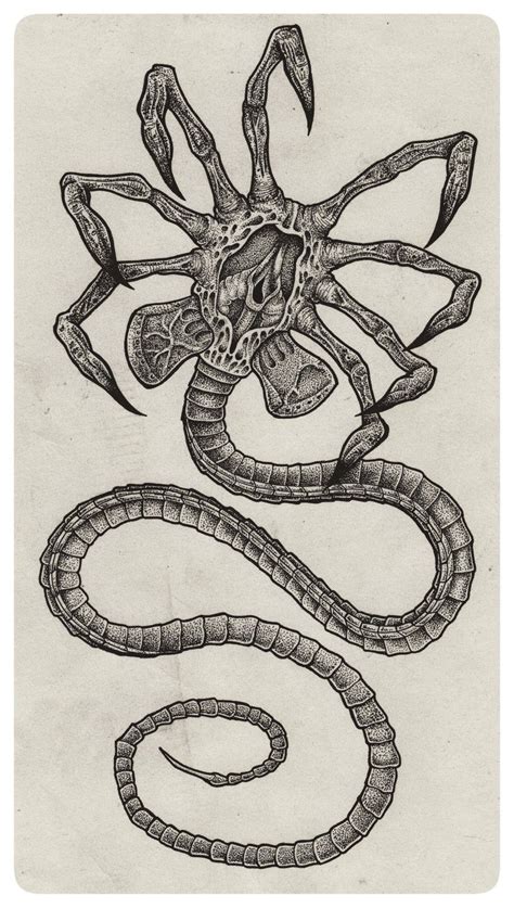 Facehugger Drawing At John Mellon Blog