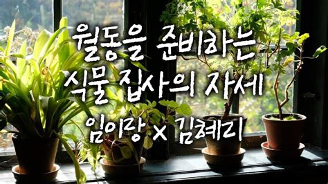 〔조용한 생활〕 초보 식물 집사 가이드 식물과 겨울 나는 법 임이랑x김혜리 Youtube