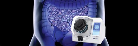 Automated Extraction Of Microbial Dna Application Note Revvity