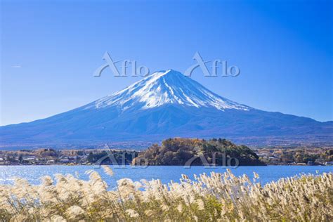 山梨県 富士山と河口湖のススキ 92601447 の写真素材 アフロ