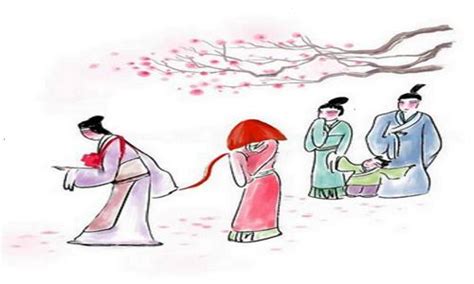 之子于归，宜其家人——《桃夭》 哔哩哔哩