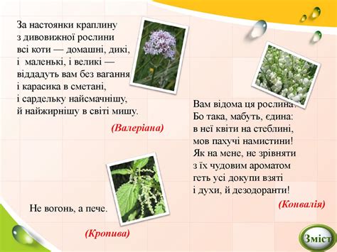 Лікарські рослини України Online Presentation