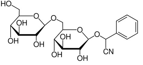 도인행인아몬드 아미그달린amygdalin 네이버 블로그