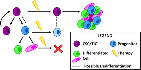 Cancer Stem Cells Because Sex Sells And Specificity Doesnt