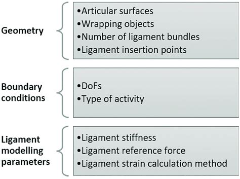 Categorised Parameters Of Musculoskeletal Knee Model Download Scientific Diagram