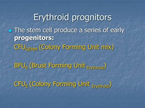 Lecture 2 Erythropoiesis Synthesis Of Rbcsppt