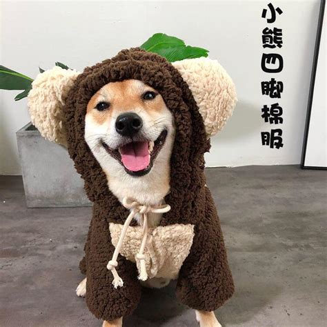 【滿299發貨】寵物衣服 狗狗衣服 中型犬加厚衣服冬裝泰迪法斗比熊雪納瑞保暖加絨外套柴犬四腳棉服 露天市集 全台最大的網路購物市集