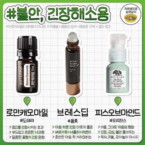 상황별 효과 좋은 아로마 오일 추천서 지식사이트 2024 에센셜 오일 블렌드 향수 향 피부미용 제품