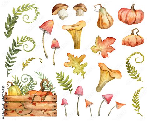 Set Of Watercolor Hand Painted Autumn Elements Isolated On White